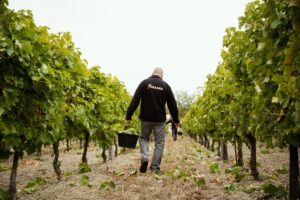Stade’s West Indies Rum Distillery