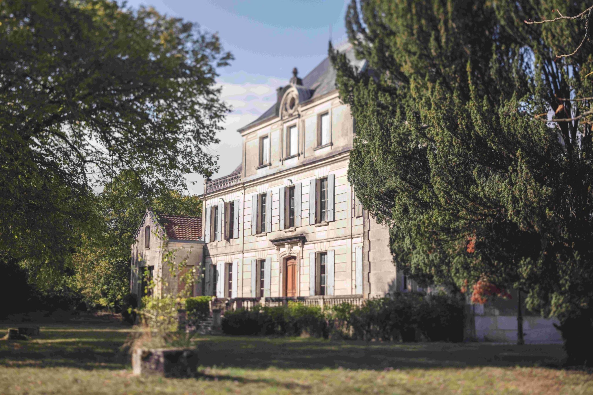 Ferrand cognac